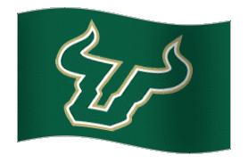USF Bulls Flag GIF