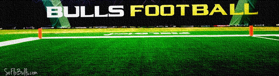 USF Bulls Football Header Image (Texture) – 958×261