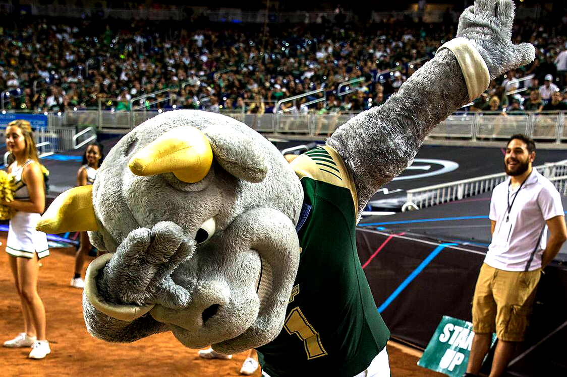 USF Football is Awesome, New Norm in Tampa? Rocky The Bull DAB (1124×749)