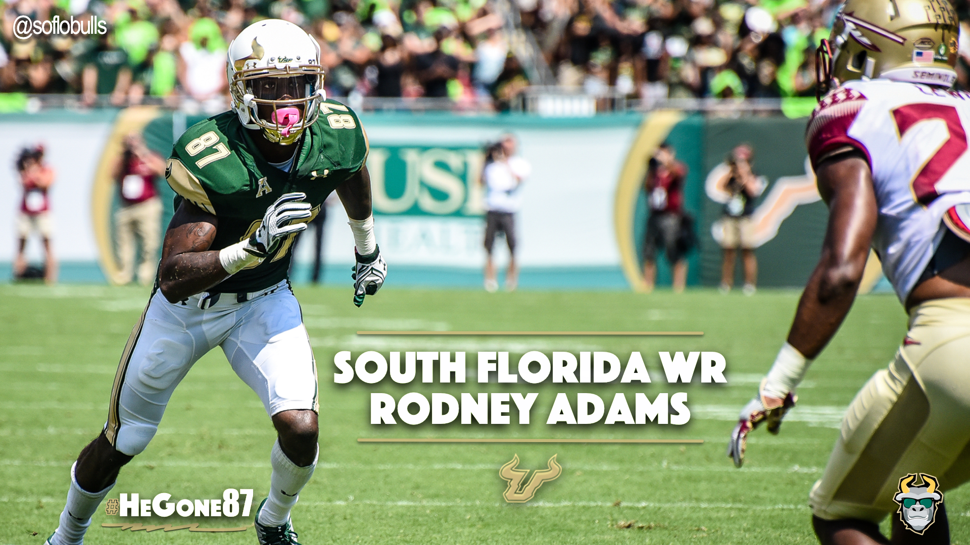 🎥 SoFloBulls.com 2016 USF Football Highlights Series: #HeGone87 WR ...