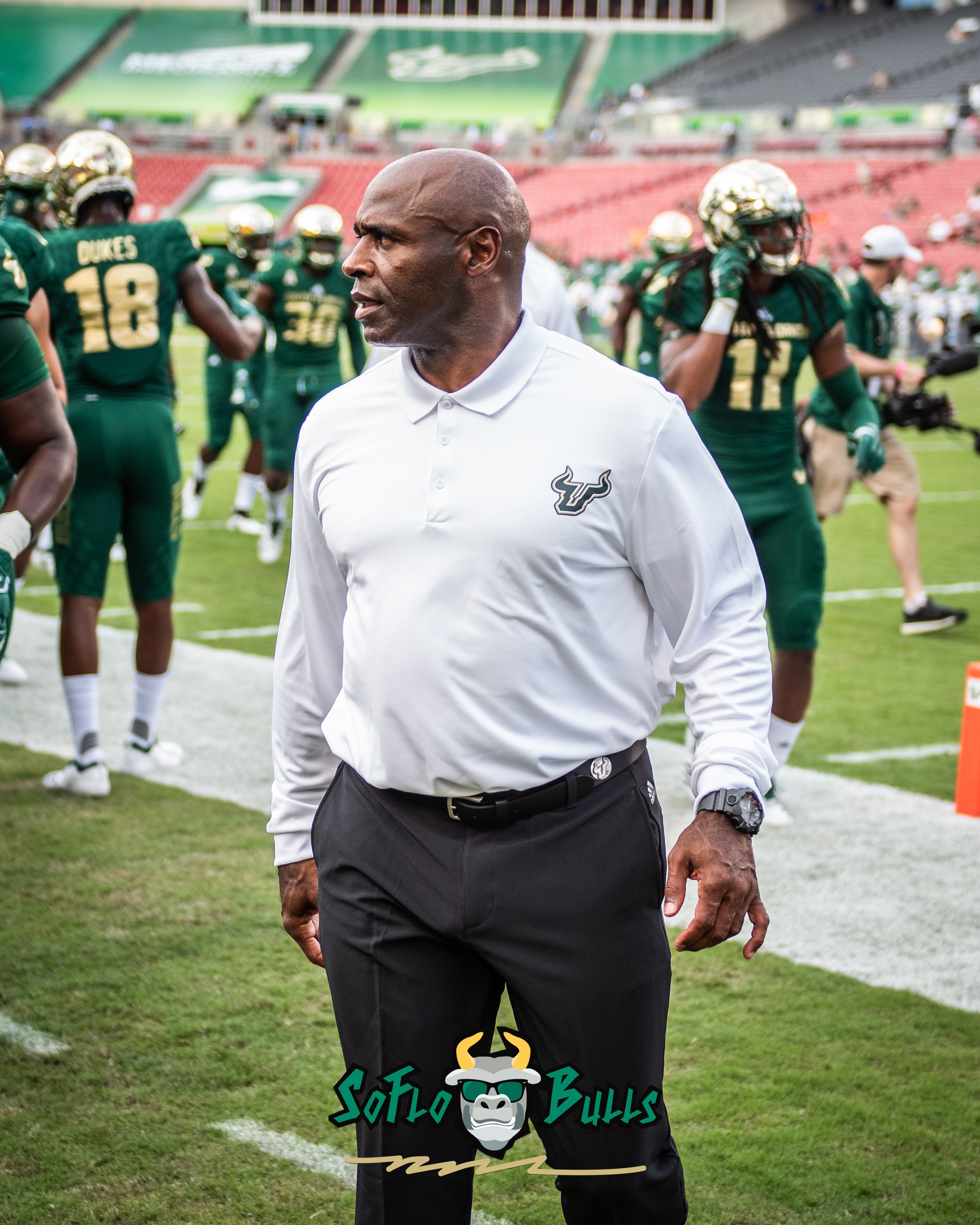 37 – Elon vs. USF 2018 – USF Coach Charlie Strong by Dennis Akers ...