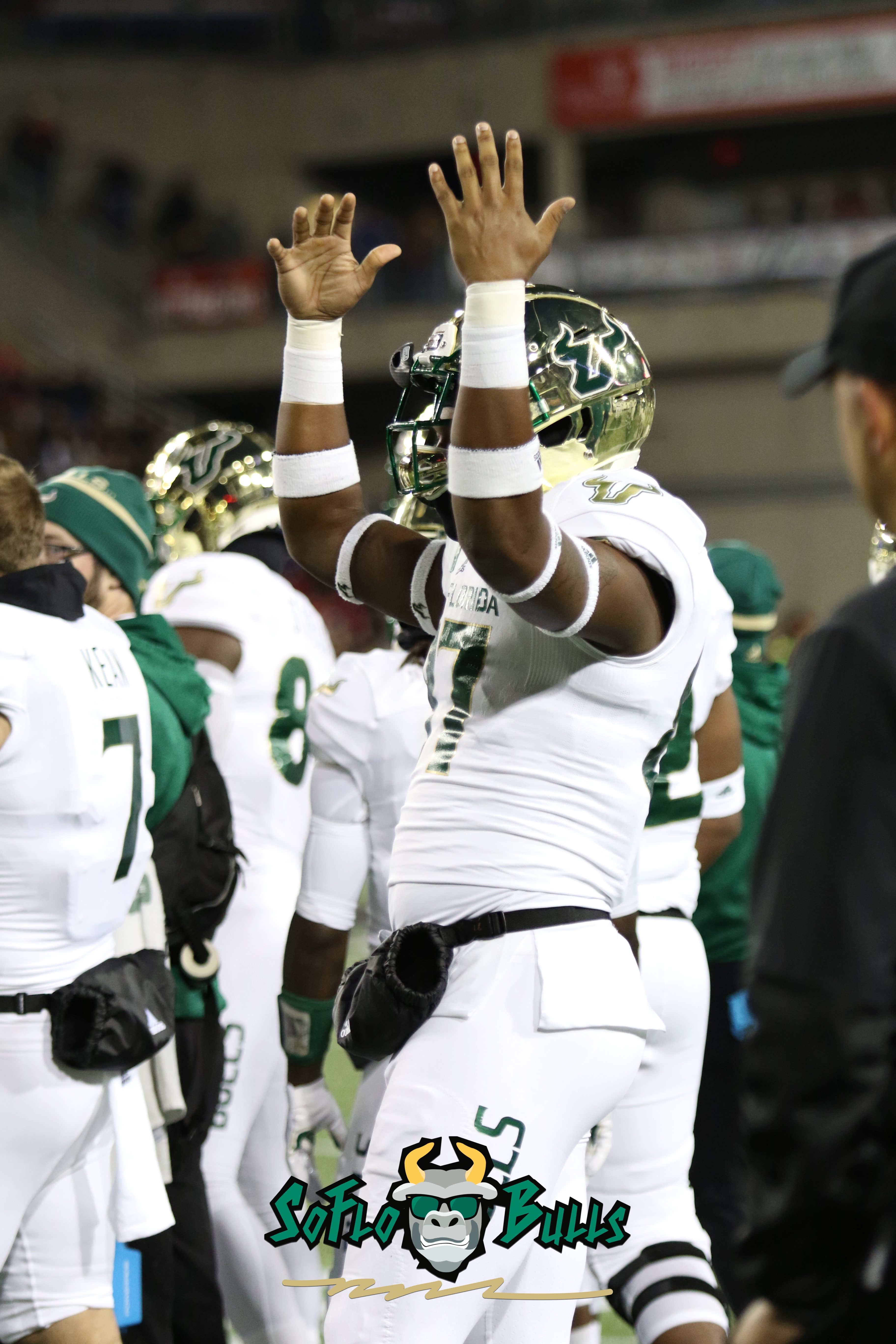 62 – USF vs. Cincinnati 2018 – USF TE Frederick Llyod by Will Turner ...