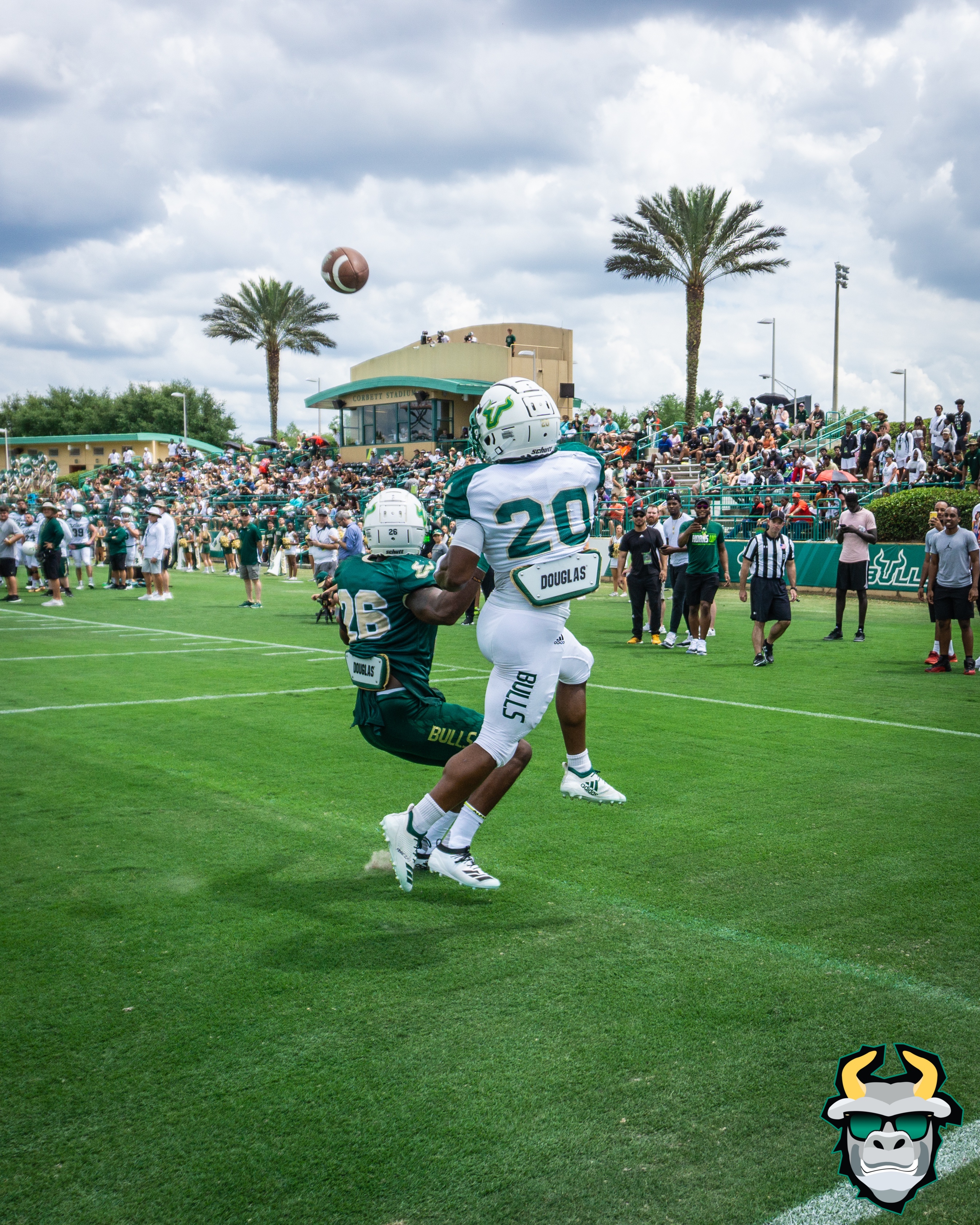 110 – USF RB Johnny Ford Spring Game 2019 by David Gold 9207 IG (2692×3365)