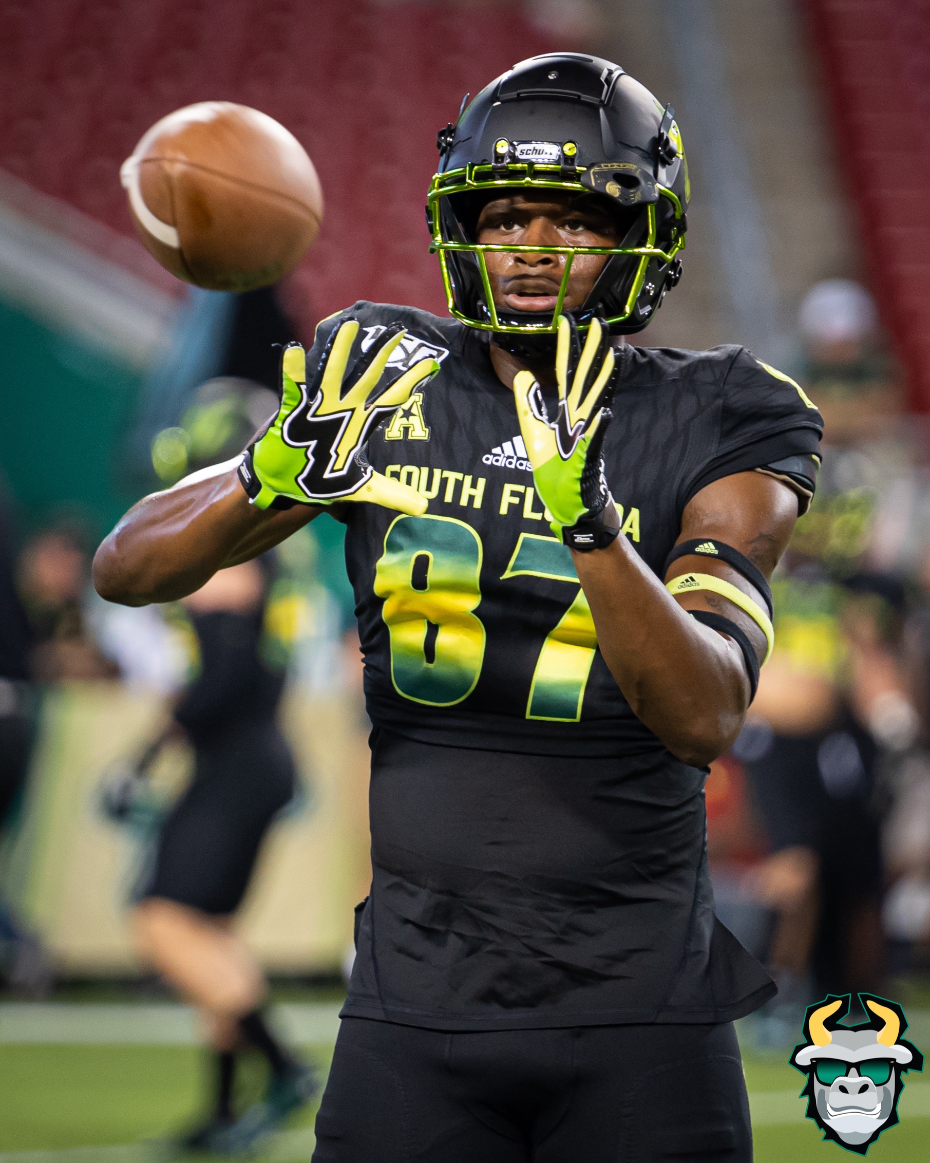 📌 Temple vs. USF Football Photo Album 2019