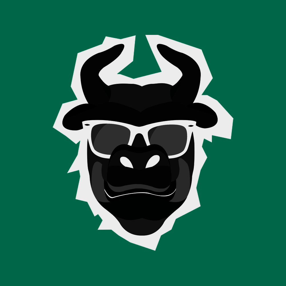 SoFloBulls Logo Attempt like Miami Heat 2021 BLACK HEAD + BACKGROUND ...