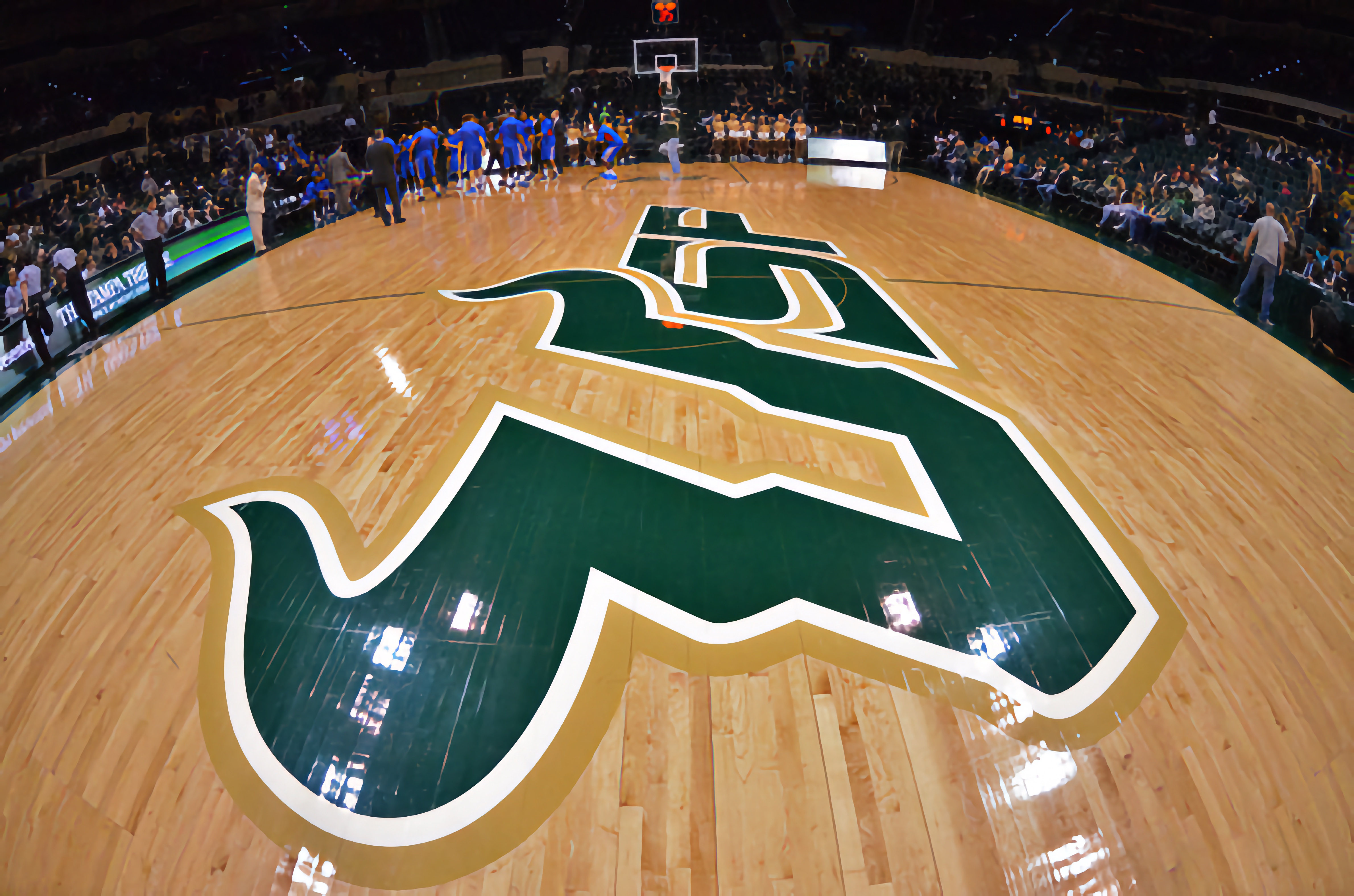 USF Yuengling Center aka the Sun Dome Basketball Court | SoFloBulls.com