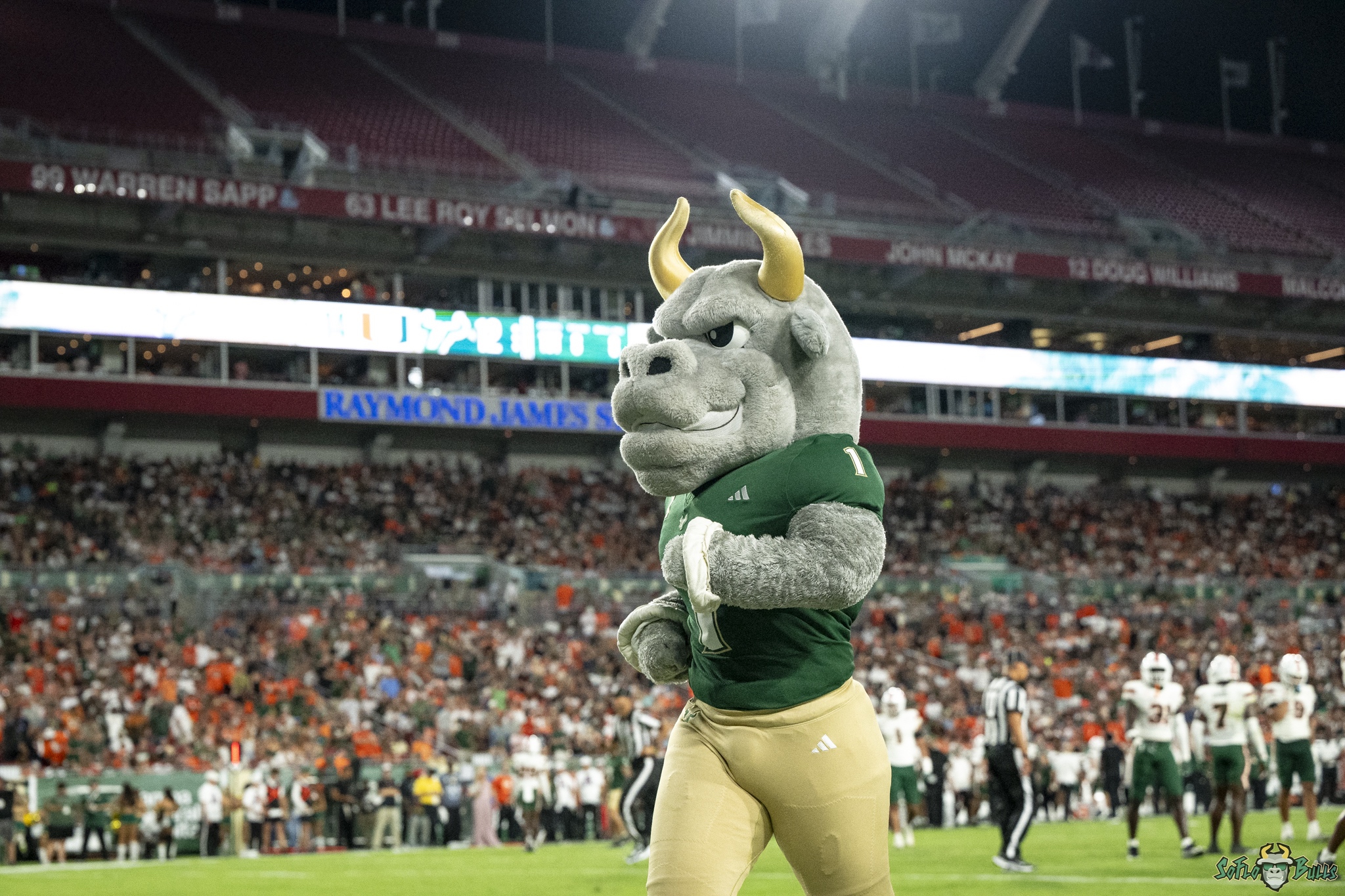 105 No 8 Miami vs USF 2024 Bulls Mascot Rocky the Bull DA