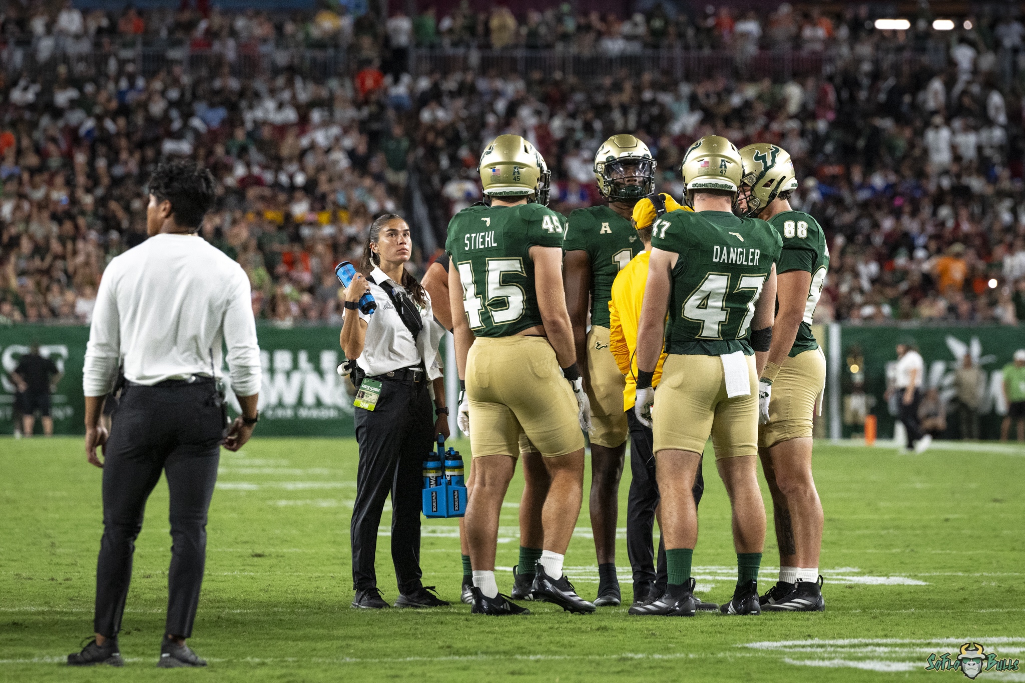 108 No 8 Miami vs USF 2024 TE Wyatt Stiehl Evan Dangler DA