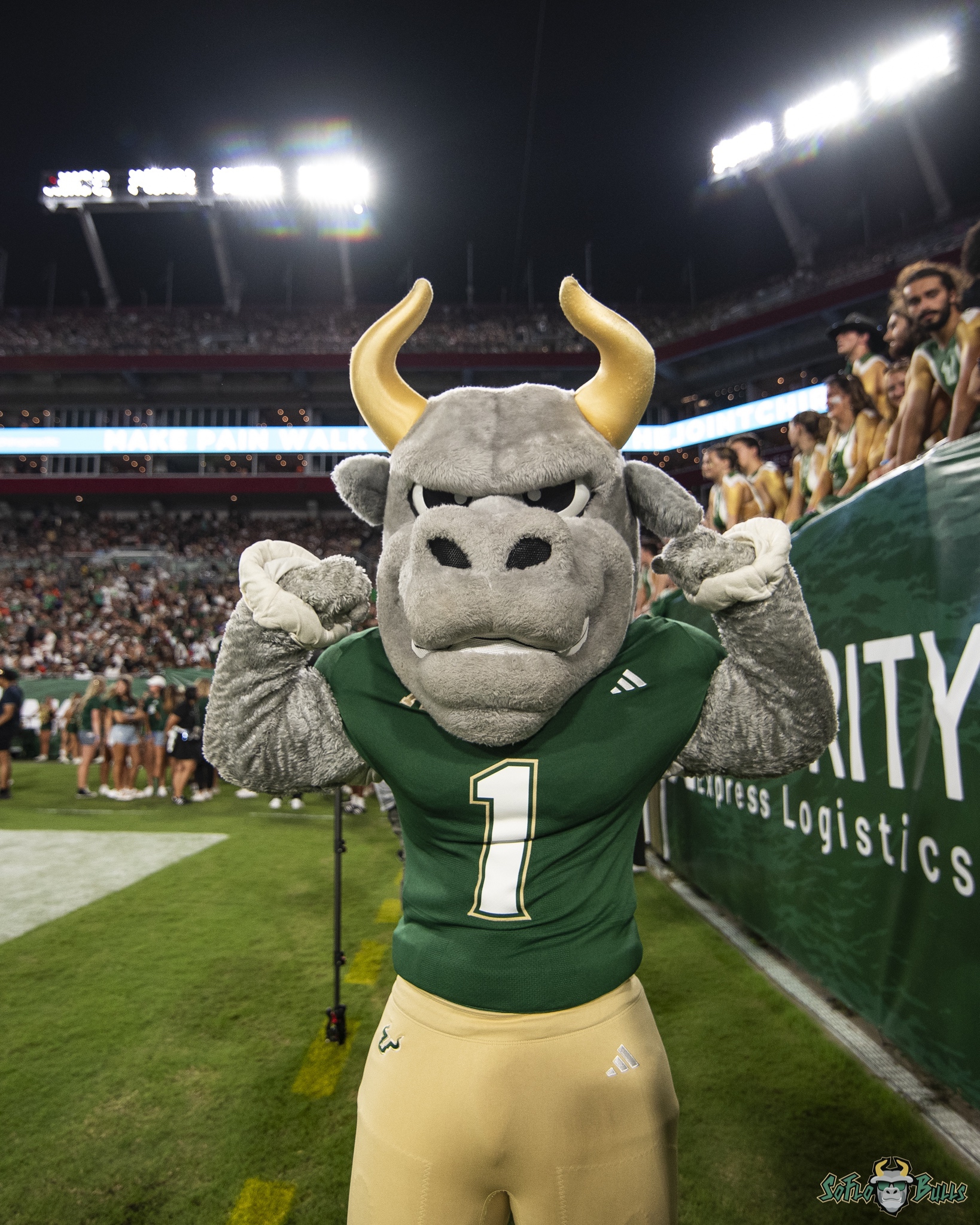 111 No 8 Miami vs USF 2024 Bulls Mascot Rocky the Bull DA