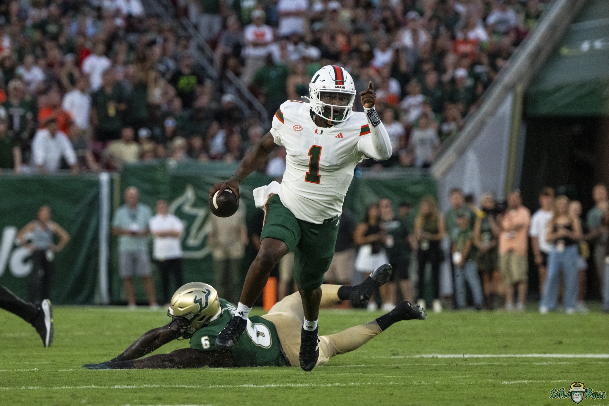 59 No 8 Miami vs USF 2024 QB Cam Ward Jamie Pettway DA