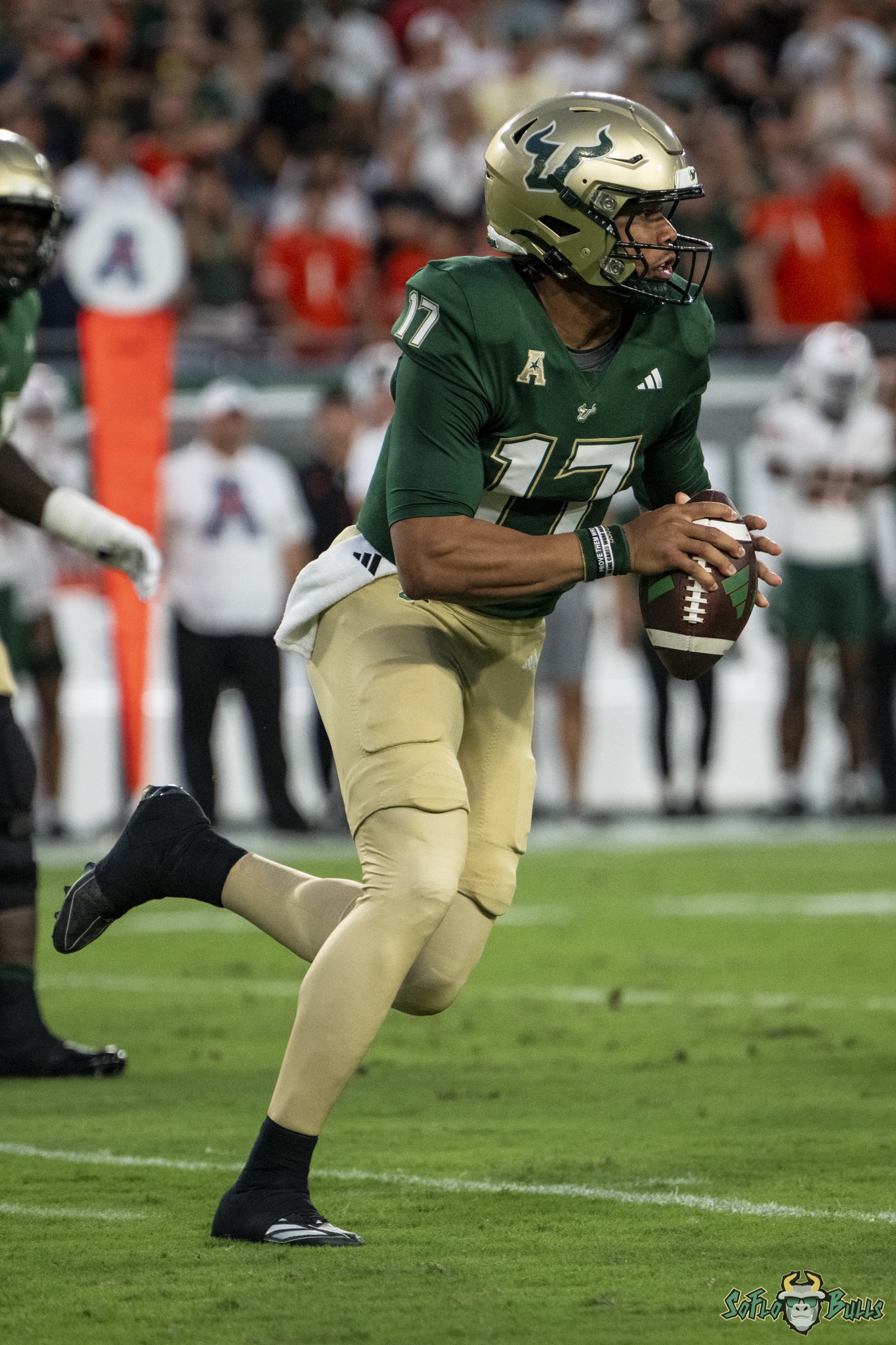 64 No 8 Miami vs USF 2024 QB Byrum Brown DA